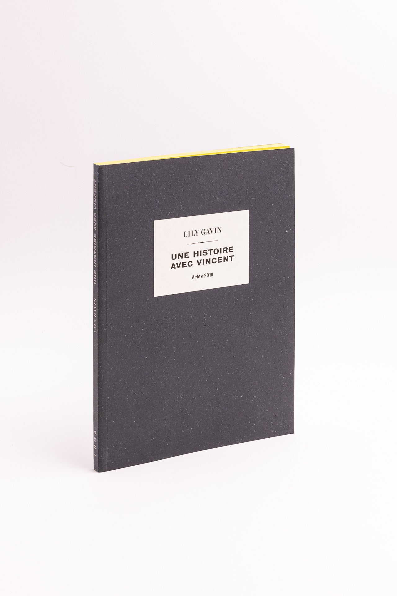 Lily Gavin - Une histoire avec Vincent – Boutique LUMA Arles